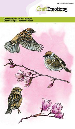 CraftEmotions- Gartenvögel